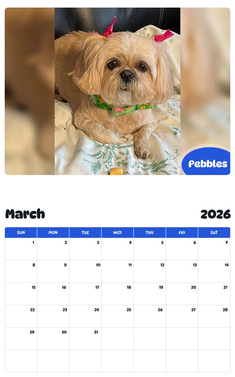 November 2025 - October 2026 Pebbles - Pawidols Pet Calendar