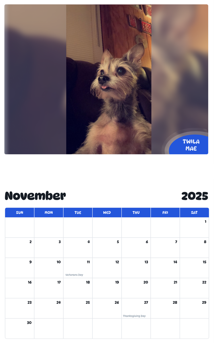 July 2025 - June 2026 Twila Mae - Pawidols Pet Calendar