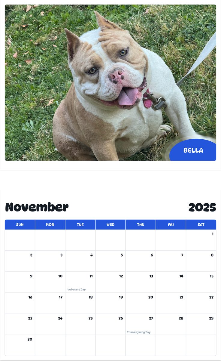 July 2025 - June 2026 Bella - Pawidols Pet Calendar