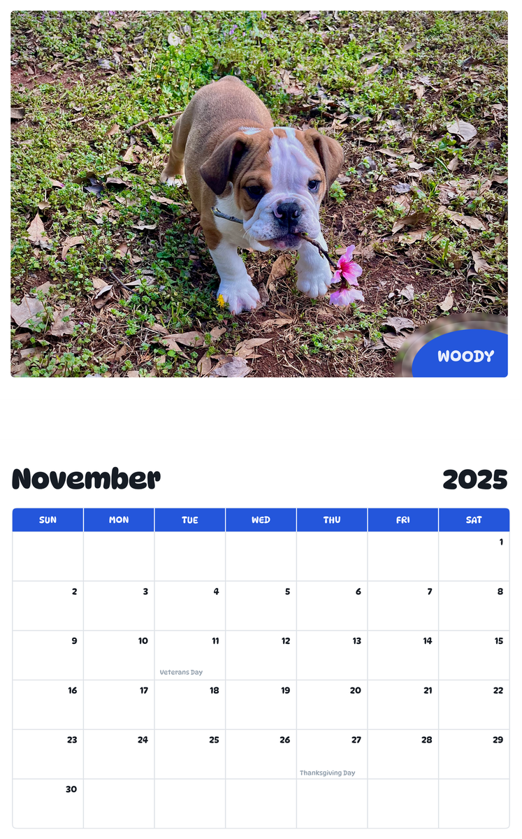 July 2025 - June 2026 Woody - Pawidols Pet Calendar