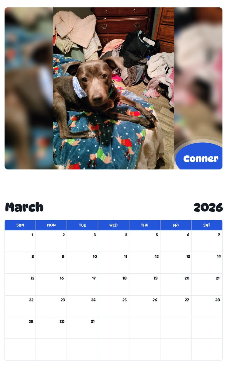 November 2025 - October 2026 Conner - Pawidols Pet Calendar
