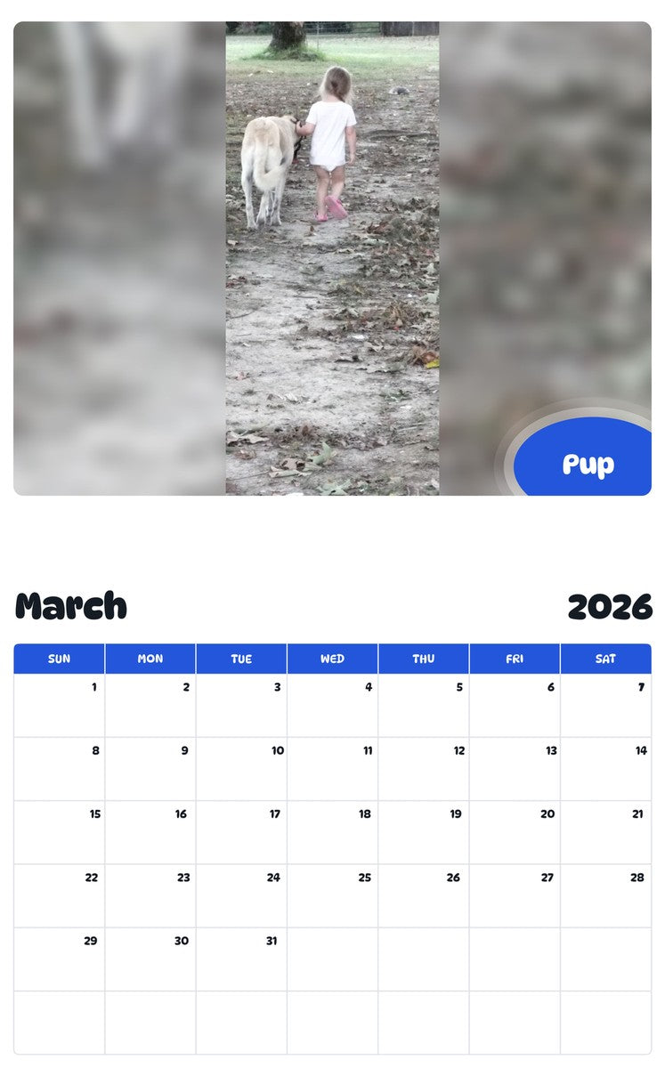 November 2025 - October 2026 Pup - Pawidols Pet Calendar