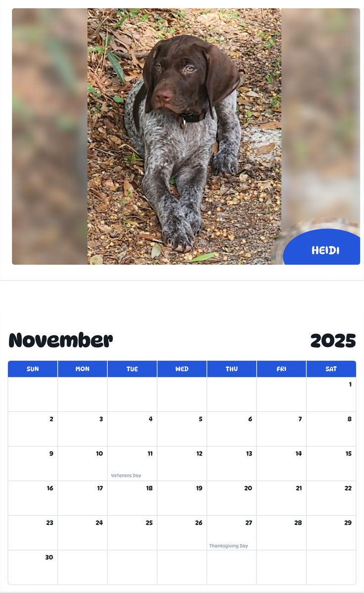 July 2025 - June 2026 Heidi - Pawidols Pet Calendar