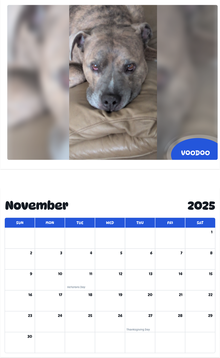 July 2025 - June 2026 Voodoo - Pawidols Pet Calendar