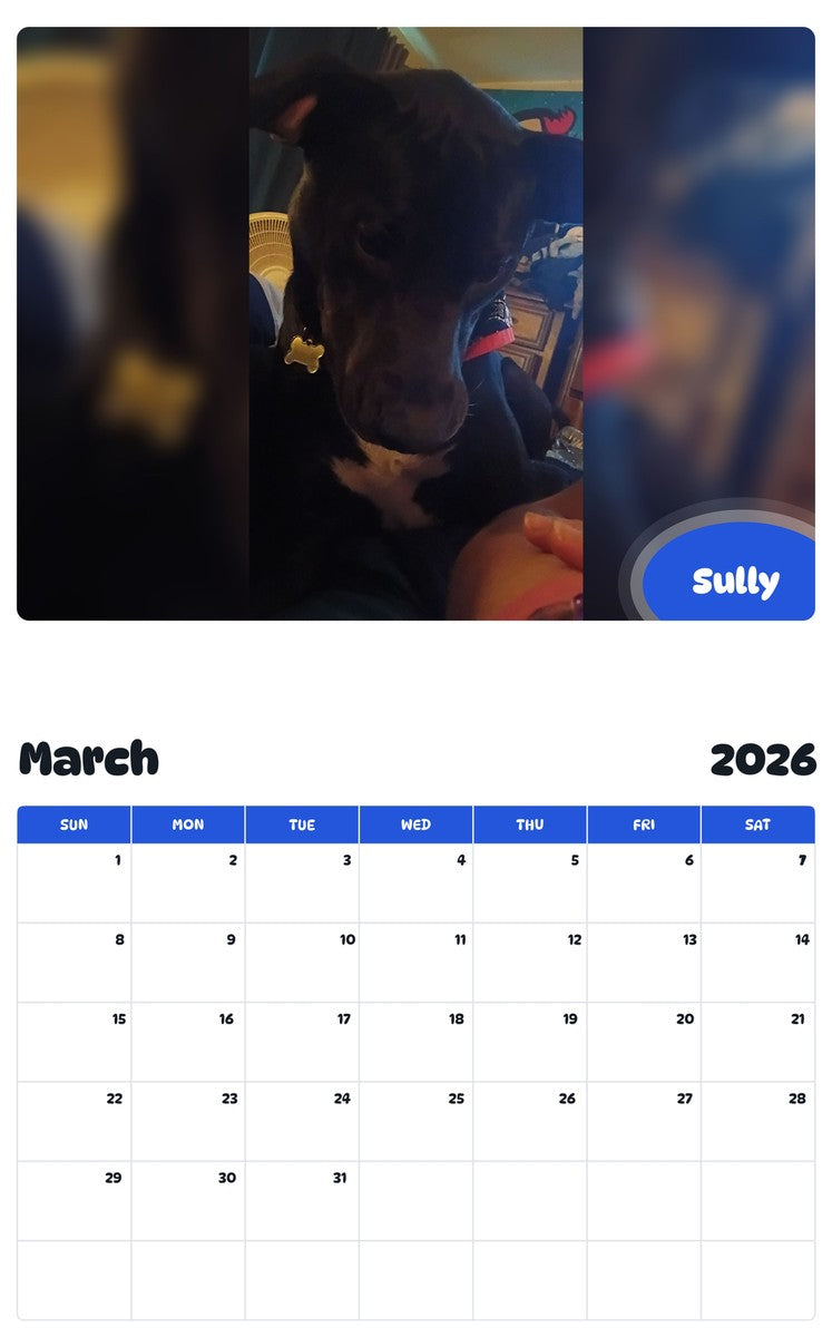 November 2025 - October 2026 Sully - Pawidols Pet Calendar