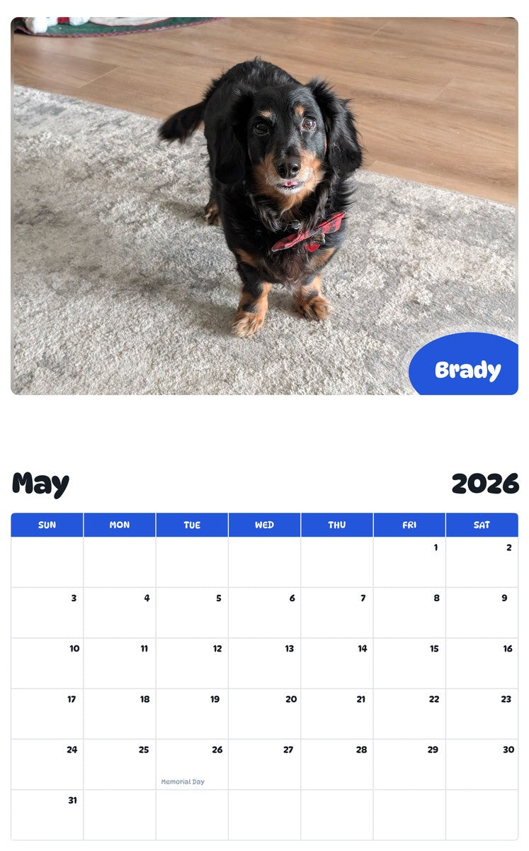 2026 - 2027 Brady - Pawidols Pet Calendar
