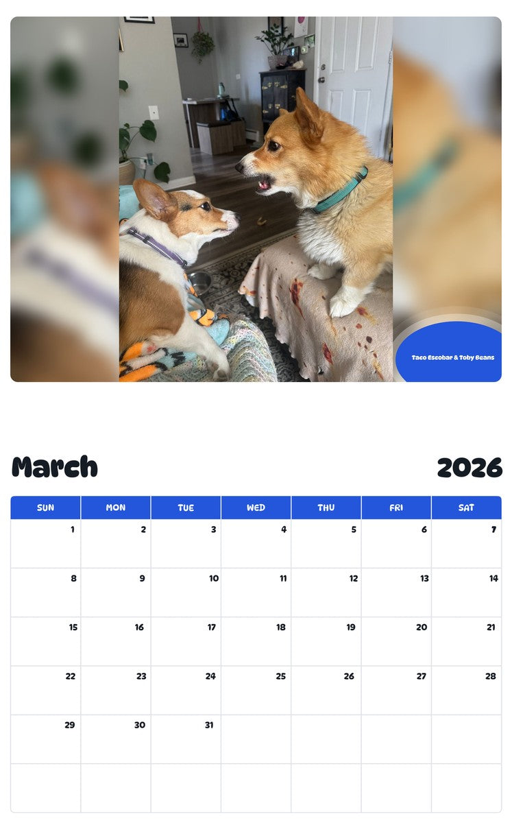 November 2025 - October 2026 Taco Escobar & Toby Beans - Pawidols Pet