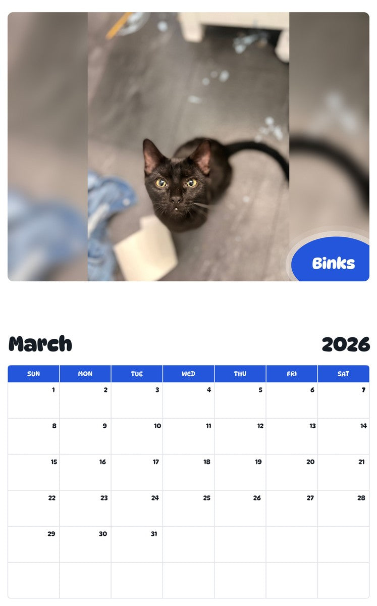 November 2025 - October 2026 Binks - Pawidols Pet Calendar