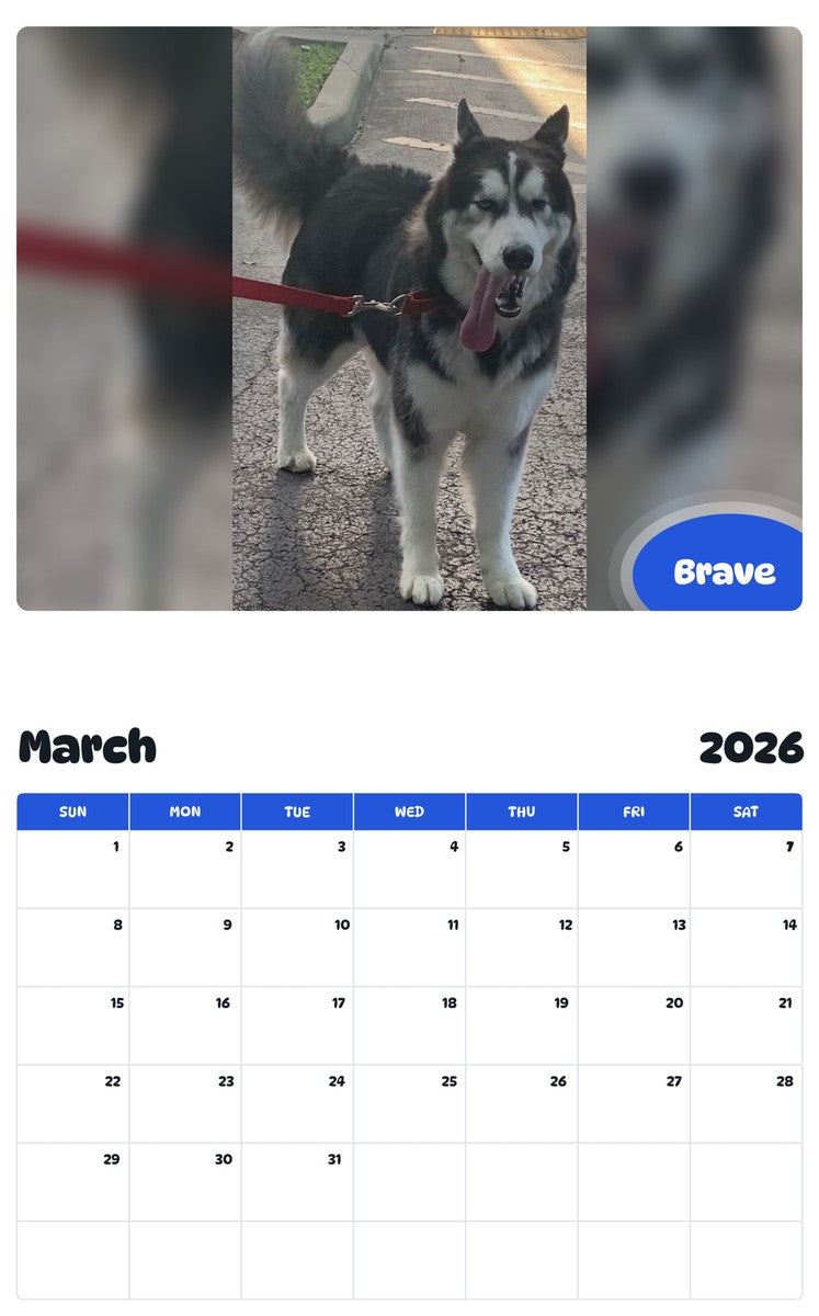 November 2025 - October 2026 Brave - Pawidols Pet Calendar