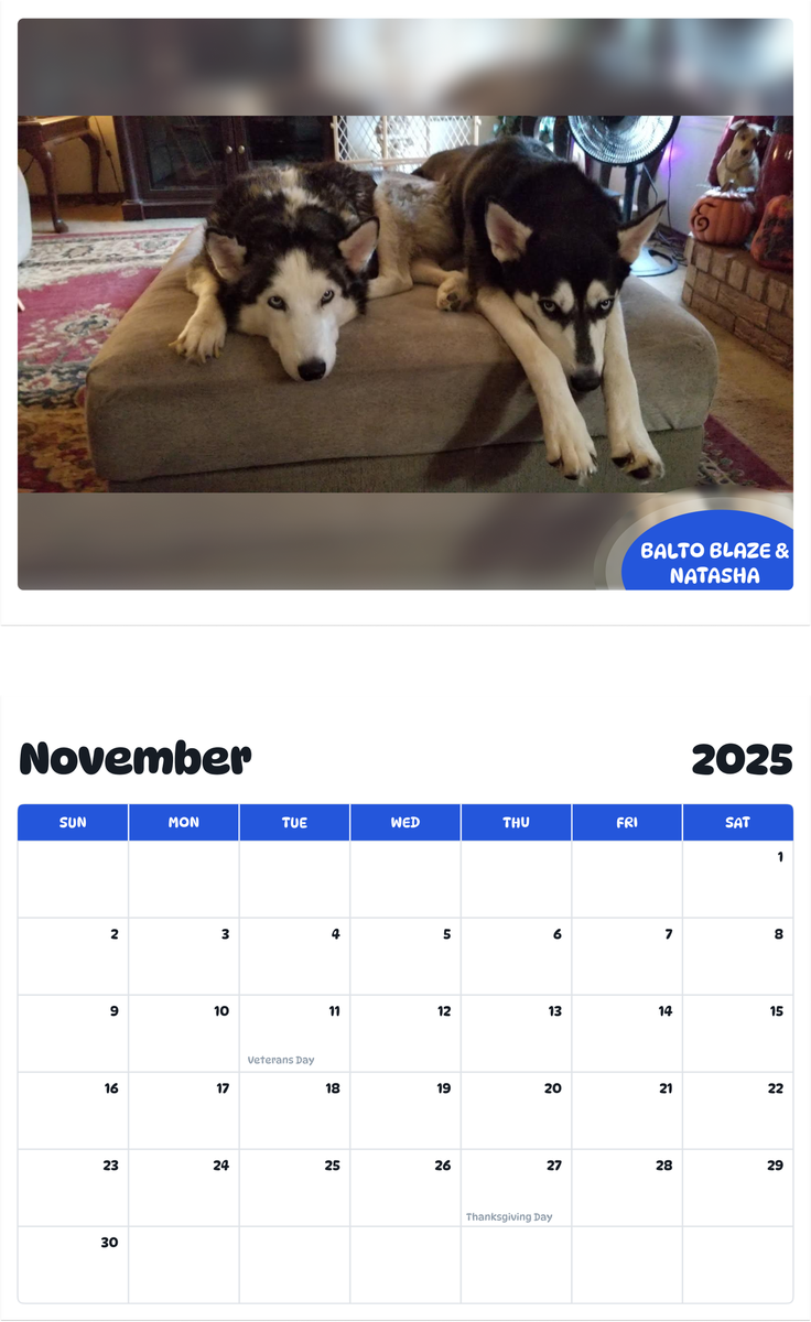 July 2025 - June 2026 Balto Blaze & Natasha - Pawidols Pet Calendar