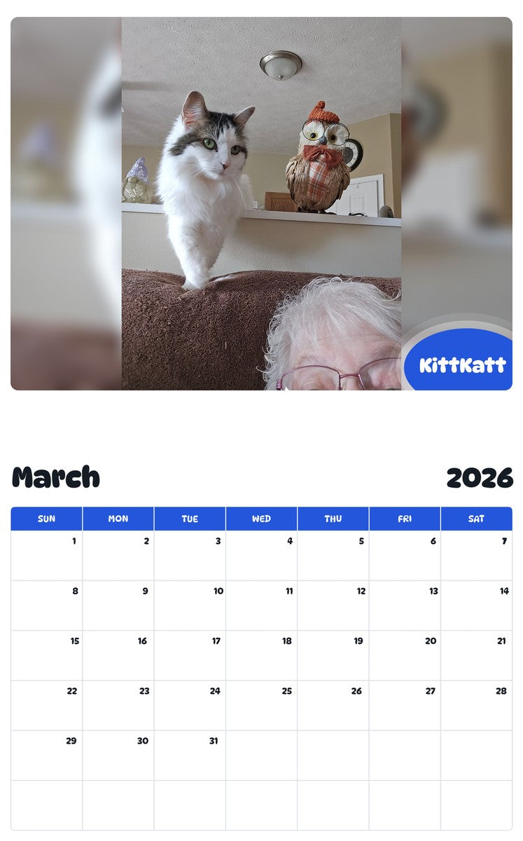 November 2025 - October 2026 KittKatt - Pawidols Pet Calendar