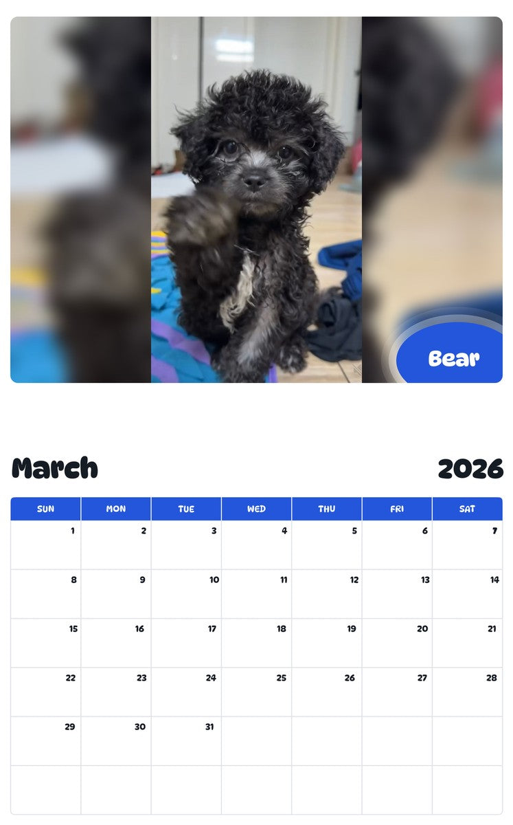 November 2025 - October 2026 Bear - Pawidols Pet Calendar