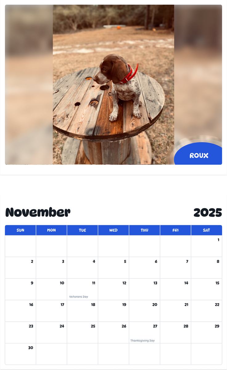 July 2025 - June 2026 Roux - Pawidols Pet Calendar