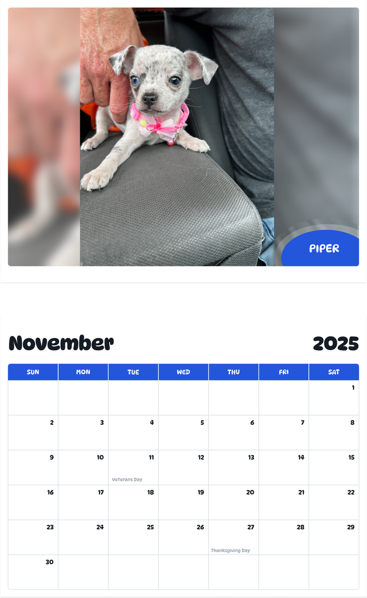July 2025 - June 2026 Piper - Pawidols Pet Calendar