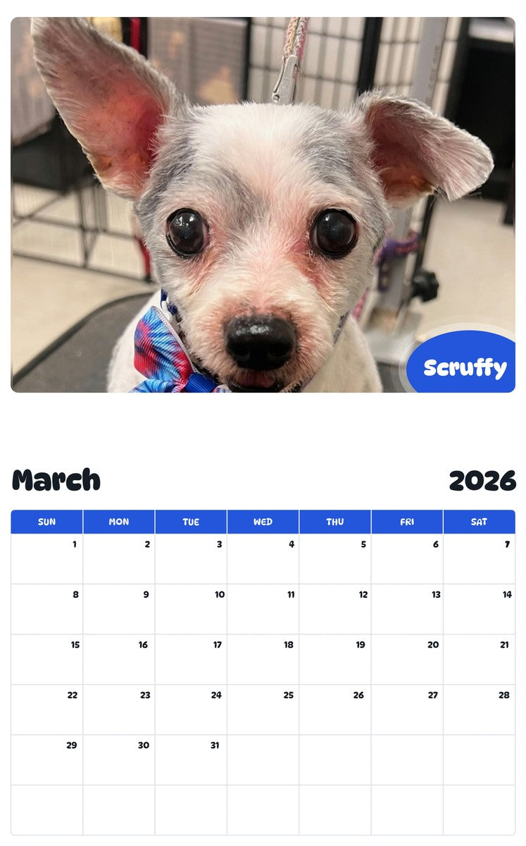 November 2025 - October 2026 Scruffy - Pawidols Pet Calendar