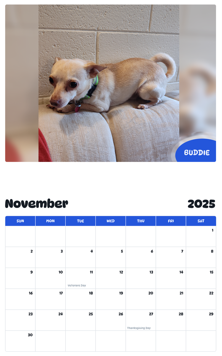 July 2025 - June 2026 Buddie - Pawidols Pet Calendar