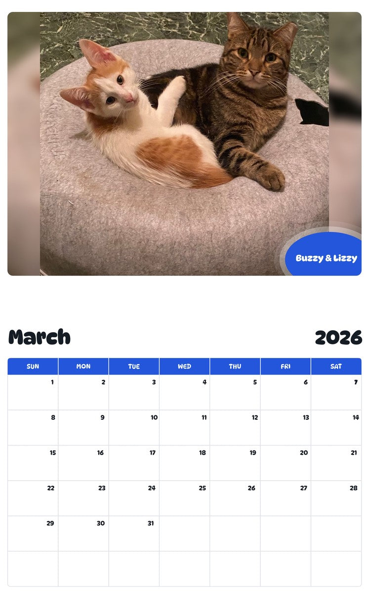November 2025 - October 2026 Buzzy & Lizzy - Pawidols Pet Calendar