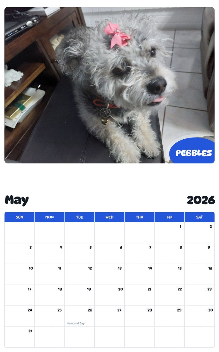 2026 - 2027 PEBBLES - Pawidols Pet Calendar