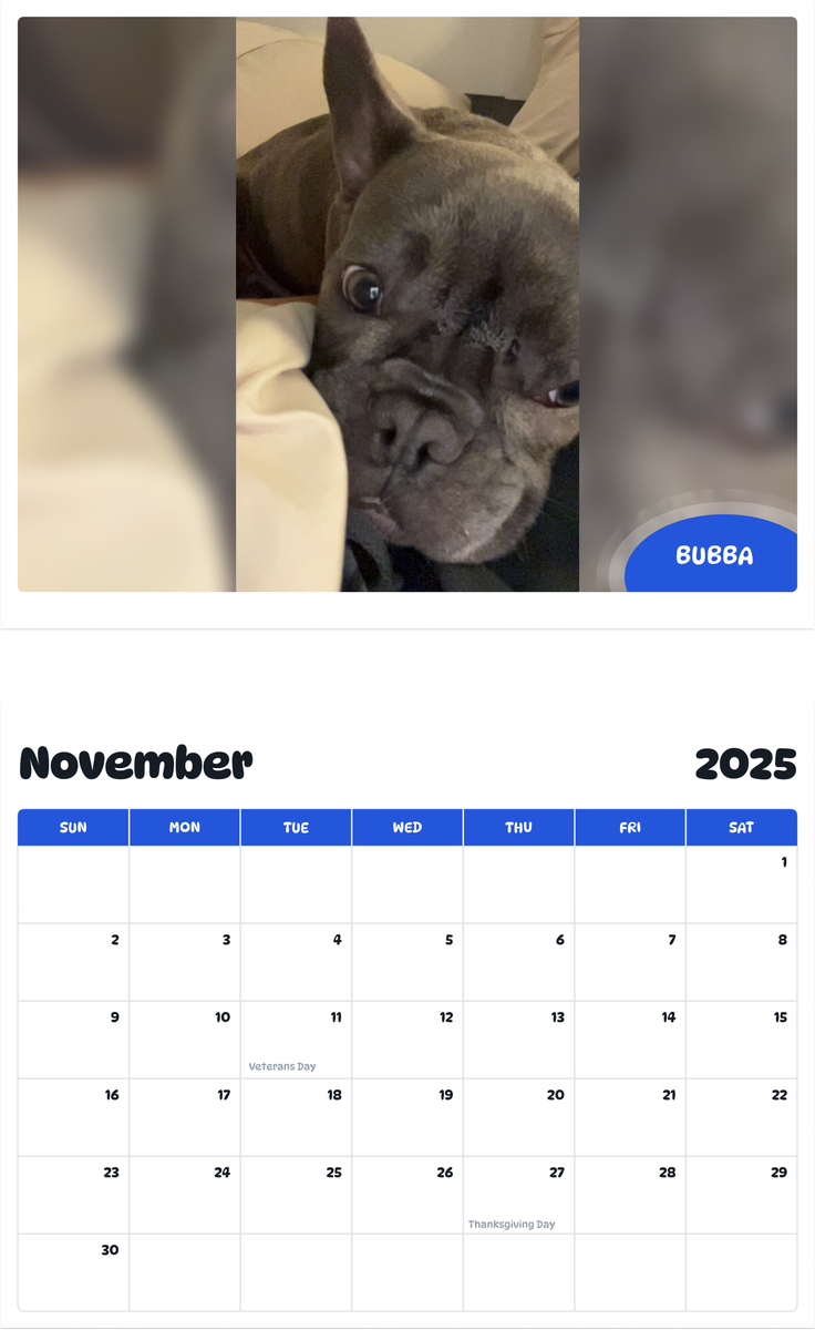 July 2025 - June 2026 Bubba - Pawidols Pet Calendar