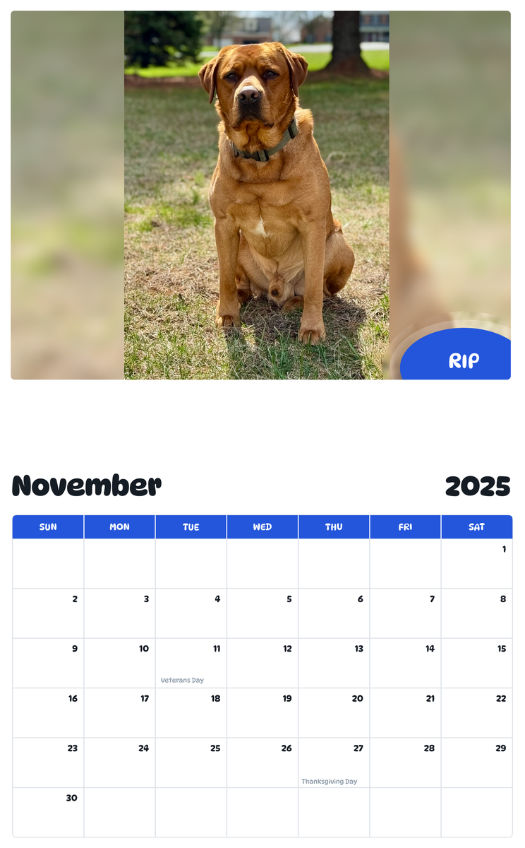 July 2025 - June 2026 Rip - Pawidols Pet Calendar