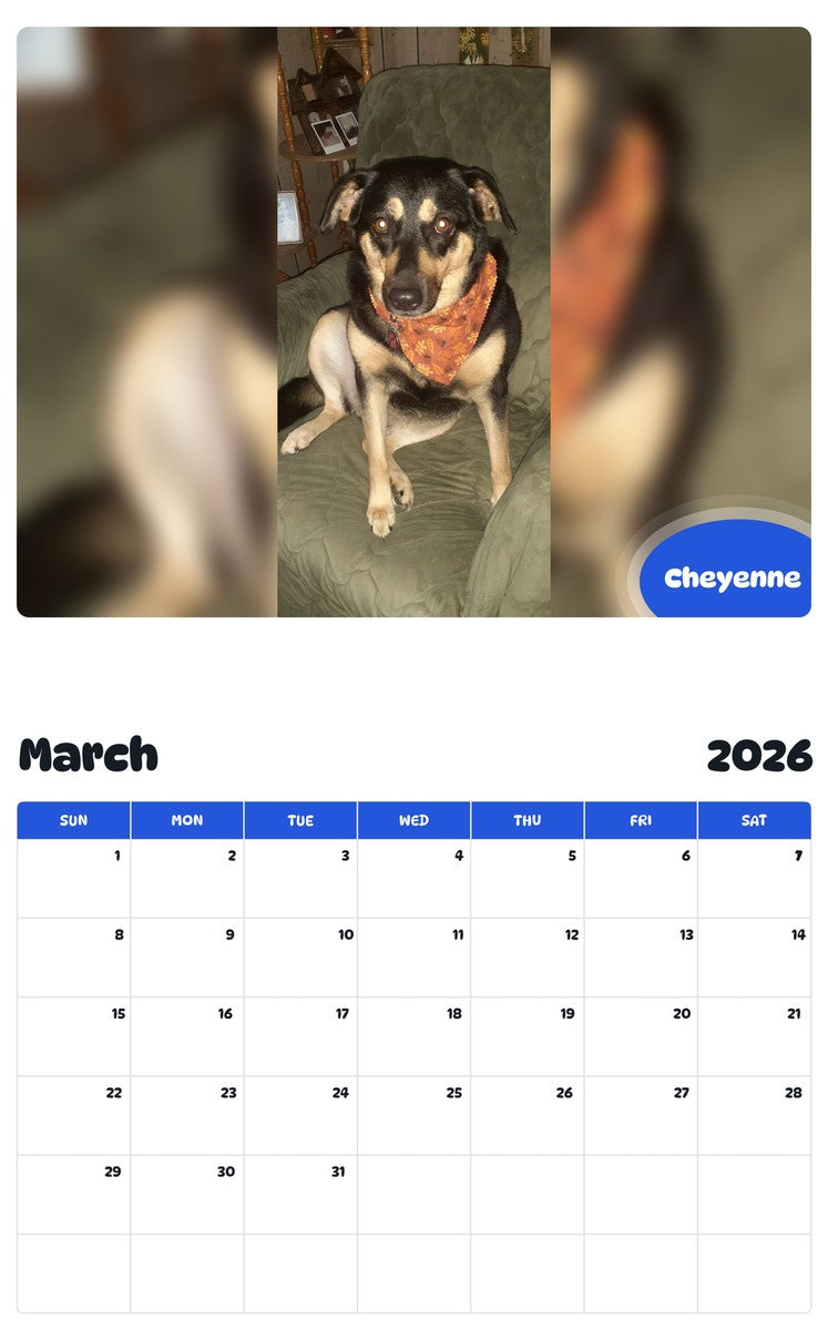 November 2025 - October 2026 Cheyenne - Pawidols Pet Calendar